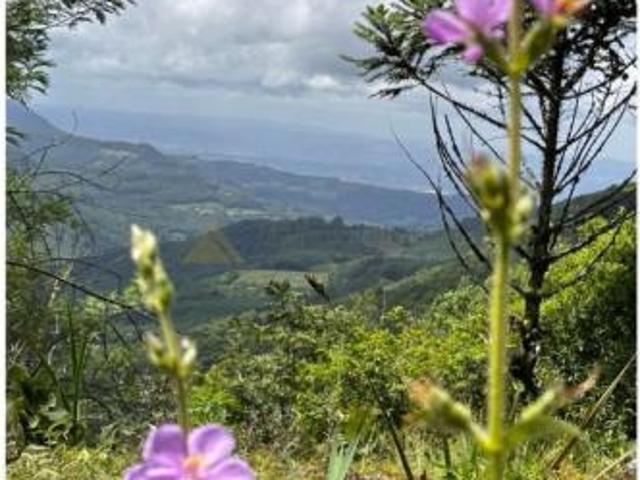 Terreno para Venda no bairro Mato Comprido em Morro Reuter