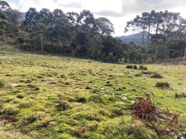 Terreno para Venda no bairro Rota das Cachoeiras, localizado na cidade de Urubici / SC