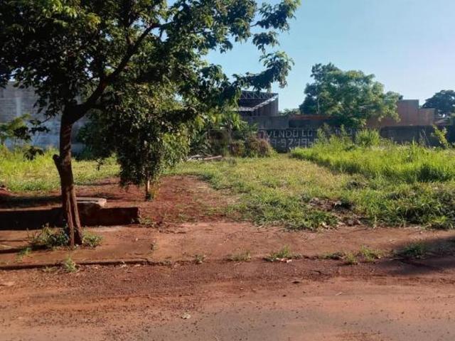Terreno para Venda no Bairro Vila Brasil em Ribeirão Preto/SP