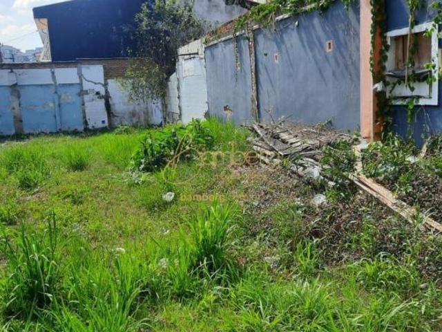 Terreno para venda na rua Alexandre Dumas, localização previlegiada