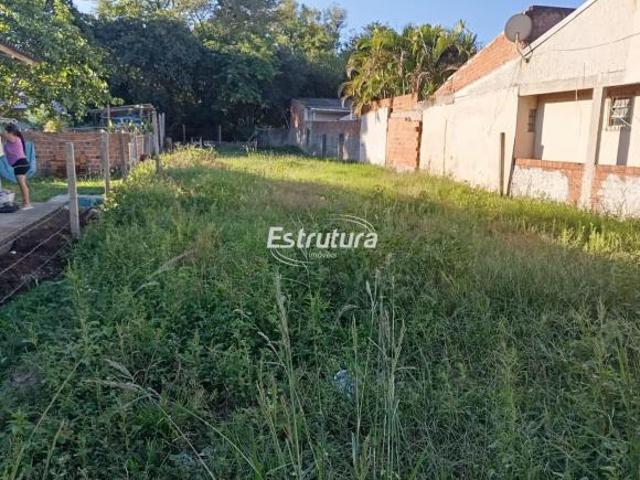 Terreno para venda na vila Tropical
