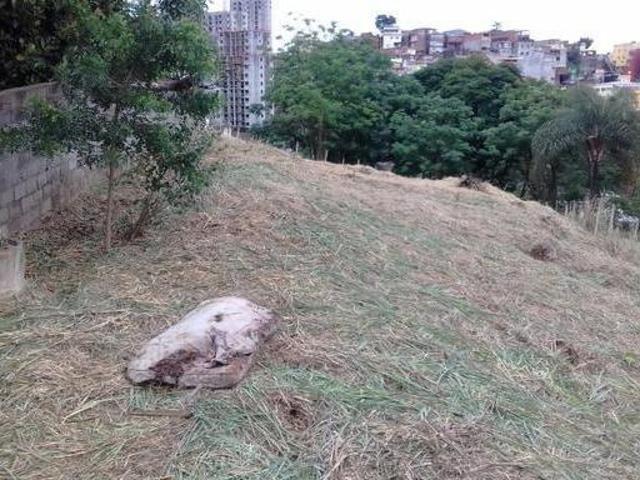 Terreno para Venda por R$350.000,00 com 800m² Jaragua, São paulo / SP Cód. BDI41978