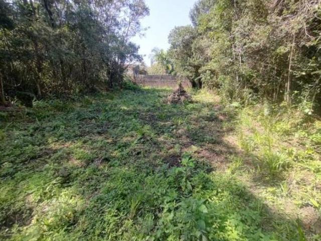 Terreno para Venda por R$50.000,00 com 1133m² Itanhaém, Itanhaém / SP Cód. BDI55523