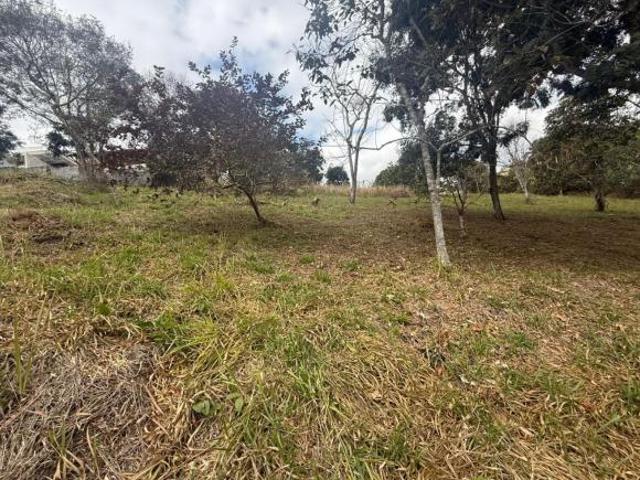 Terreno para Venda, Reserva Ibirapitanga, em Santa Isabel / SP
