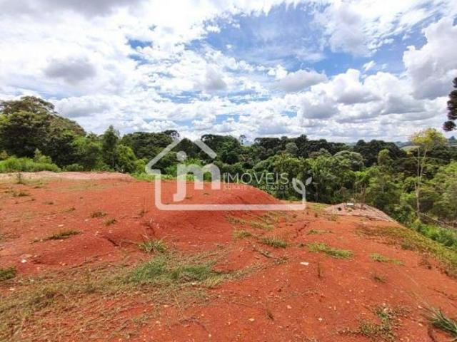 Terreno para Venda, Vila Rivabem, Campo Largo / PR