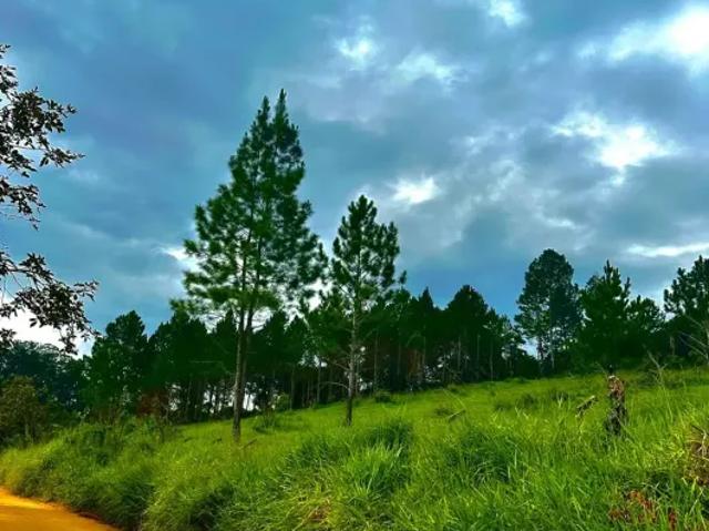 Terreno para viver ou investir