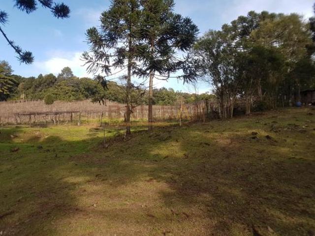 Terreno Parada Cristal Br 116