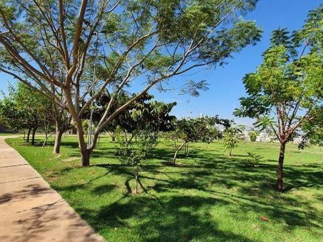 Terreno, Park Cambui, Catanduva, SP