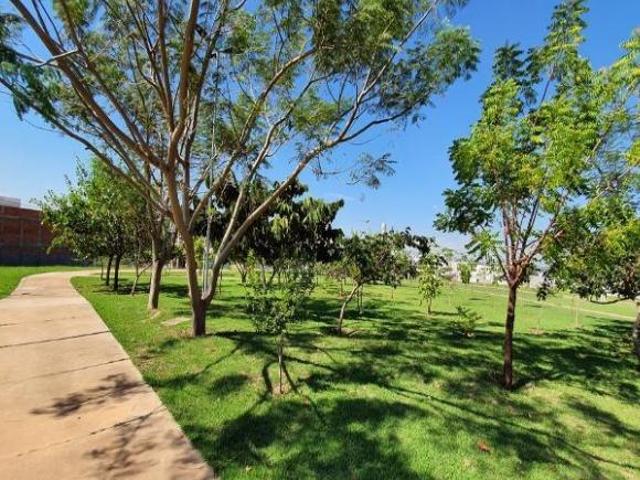 Terreno, Park Cambui, Catanduva, SP