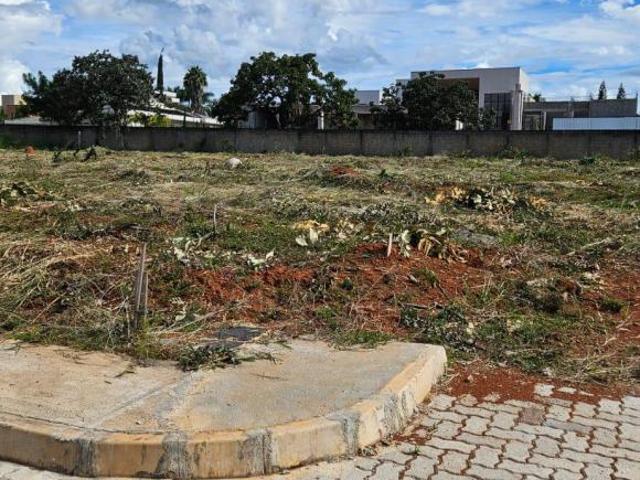 Terreno Park Way