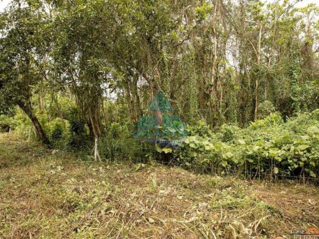 Terreno, Park Tabatinga, Ubatuba R$ 500 mil, Cod: 1714