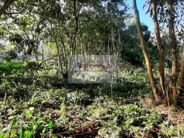 Terreno, Parque Alvorada, Embu guaçu, SP