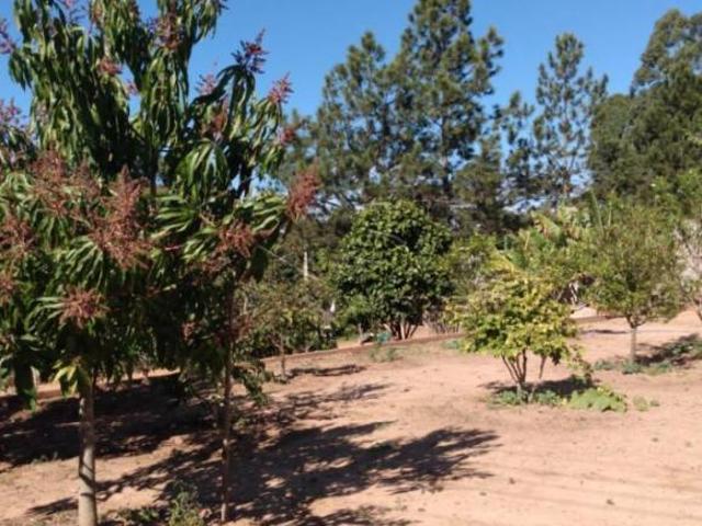 TERRENO Parque Bela Vista RubiÃ£o Junior BOTUCATU / SP