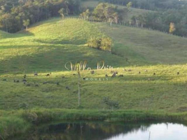 Terreno, Parque das Flores, São Paulo R$ 11.6 mi, Cod: 713