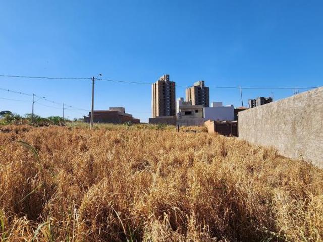 Terreno Parque das Oliveiras