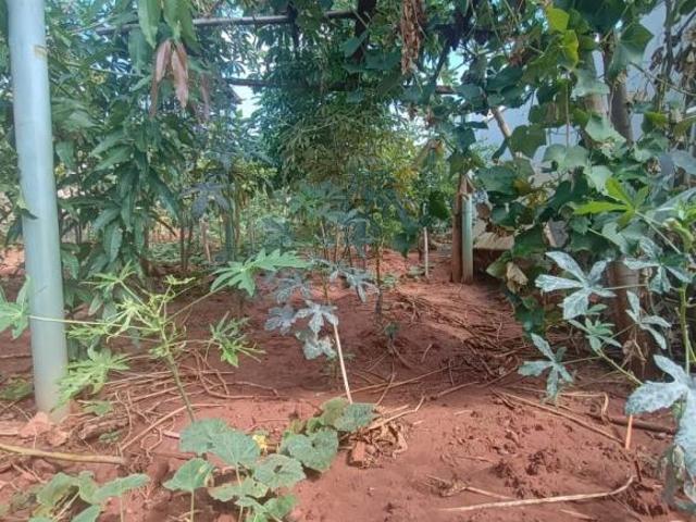 Terreno, Parque Iracema, Catanduva, SP