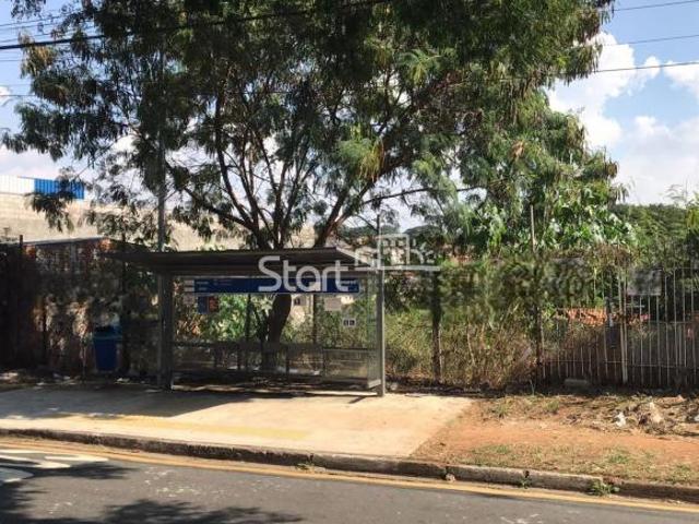 terreno Parque São Quirino Campinas