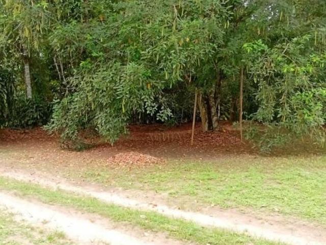 Terreno Pé na Areia no Ubatumirim! 300 metros em Condomínio Fechado!