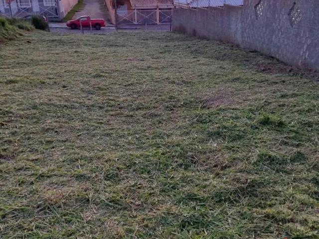 Terreno perto Stok Avenida Manoel Elias comprar Jardim Leopoldina Porto Alegre
