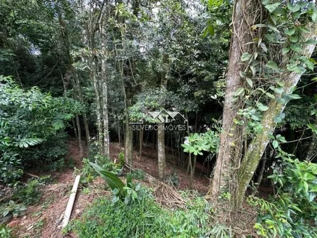 Terreno Petrópolis, Mosela