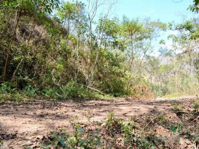 Terreno Petrópolis, Posse