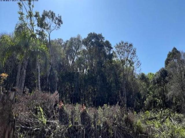 Terreno, Piá, Nova Petrópolis, RS