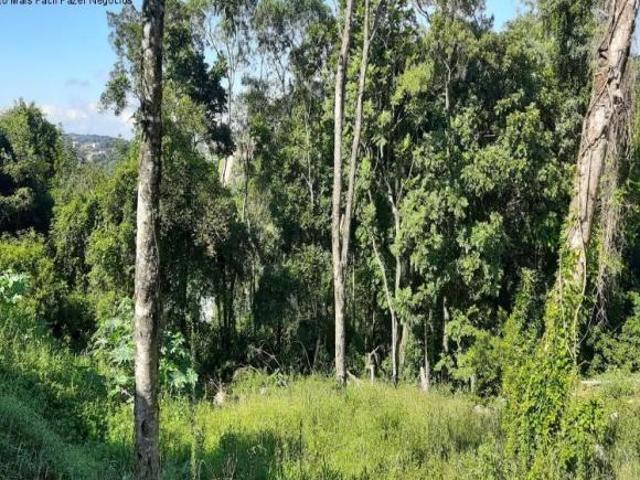 Terreno, Piá, Nova Petrópolis, RS