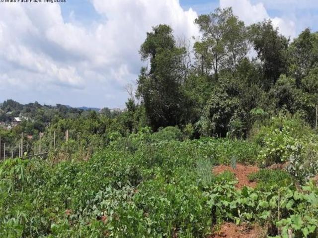 Terreno, Piá, Nova Petrópolis, RS