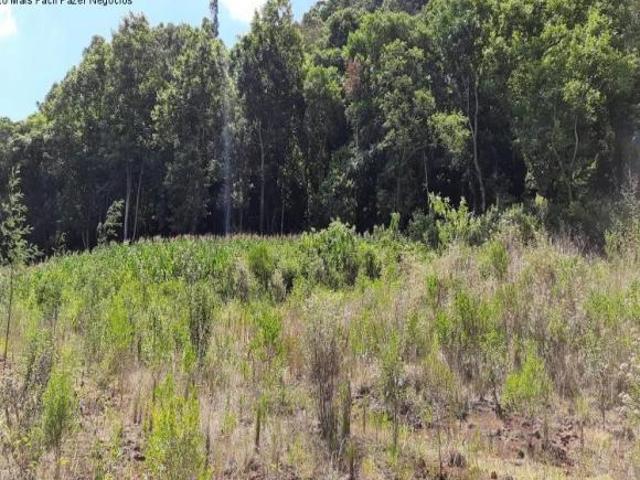 Terreno, Pinhal Alto, Nova Petrópolis, RS