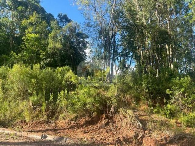 Terreno, Pinhal Alto, Nova Petrópolis, RS