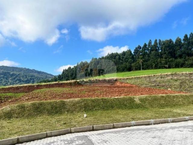 Terreno, Pinhal Alto, Nova Petrópolis, RS
