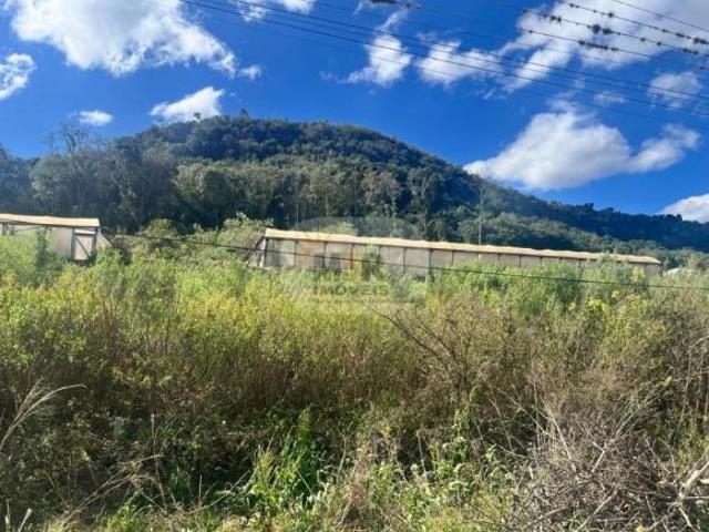 Terreno, Pinhal Alto, Nova Petrópolis, RS