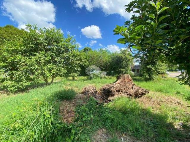 Terreno plano no bairro Avenida em Santa Cruz do Sul!