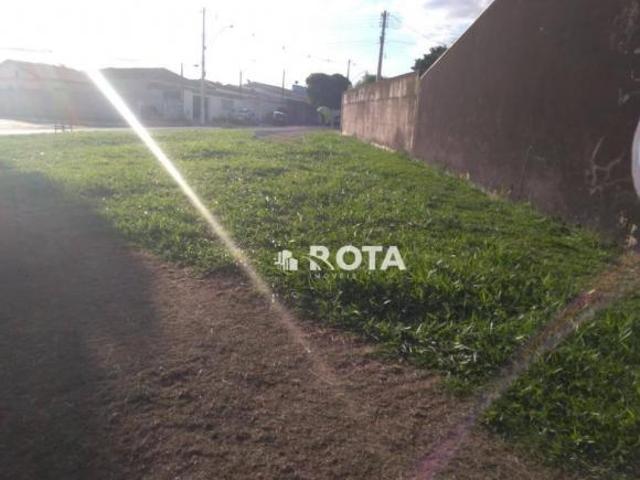 Terreno plano, pronto para construir, no Bairro João Aranha Paulínia