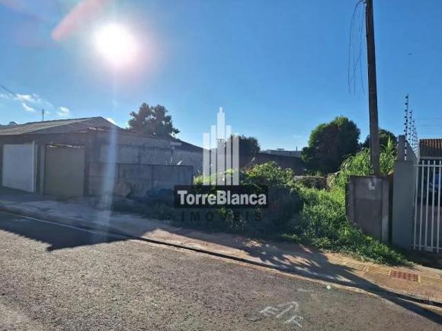 Terreno Plano à Venda, 250 m², Próximo ao Lago de Olarias