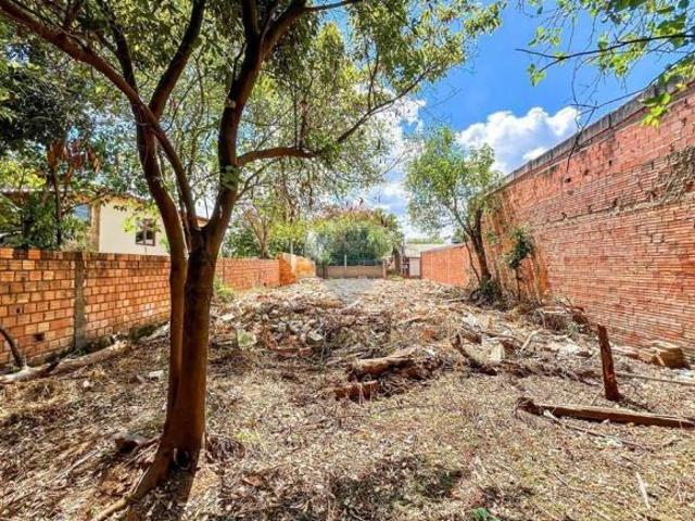 Terreno plano à Venda Campina/São Leopoldo