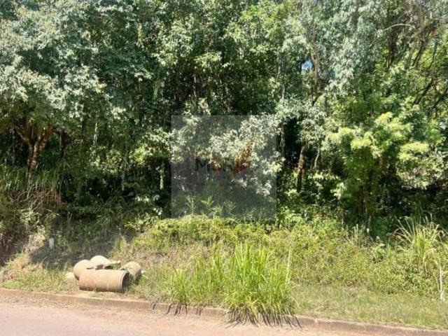 Terreno Plano à Venda em Nova Petrópolis | 376m² Linha Imperial | Pronto para Construir