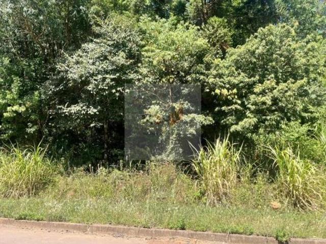 Terreno Plano à Venda em Nova Petrópolis | 387m² Linha Imperial | Pronto para Construir
