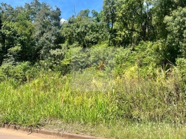 Terreno Plano à Venda em Nova Petrópolis | 542m² Linha Imperial | Pronto para Construir