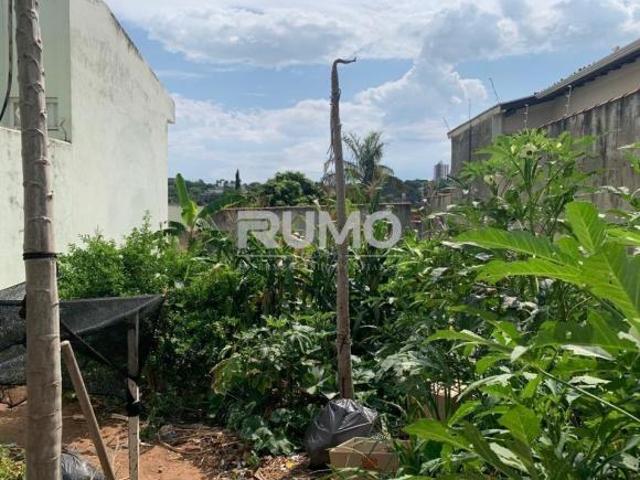 Terreno plano à venda no bairro Nova Campinas em Campinas