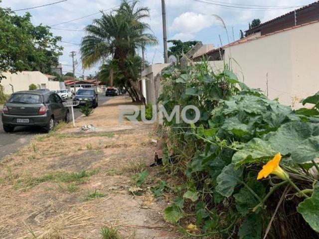 Terreno plano à venda no bairro Nova Campinas em Campinas