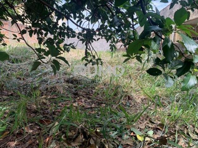 Terreno plano à venda no bairro Nova Campinas em Campinas