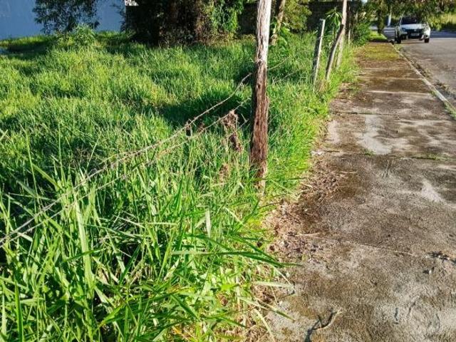 Terreno bem localizado e plano a venda na Vila São Benedito