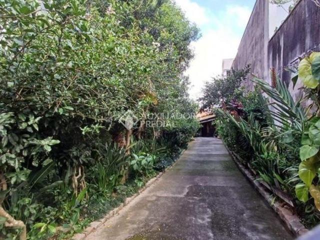Terreno Plano Assunção 10 x 32,5 ideal para consttrutores Proximo a Igreja