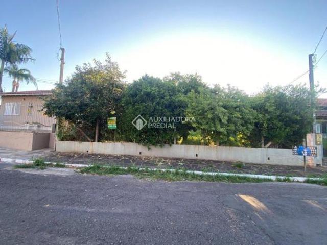 Terreno plano com 429,00m², medindo 13,00 x 33,00 no Bairro Ideal