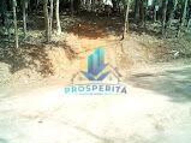 Terreno Plano com 1.187,11m² Bairro Agua Espraiada Caucaia do Alto Cotia/SP