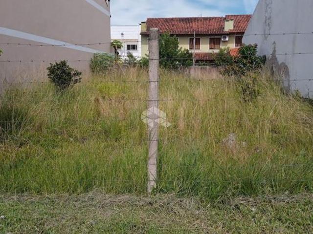 Terreno plano com 250m metros