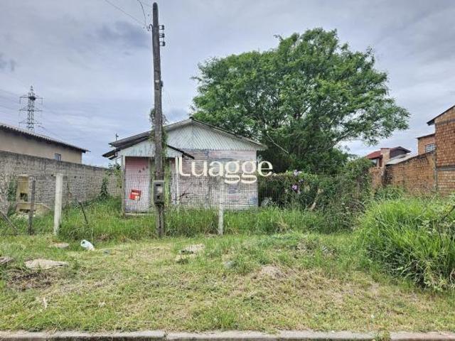 Terreno plano com Casa em Madeira 2d, 1Banh, Restinga, Porto Alegre