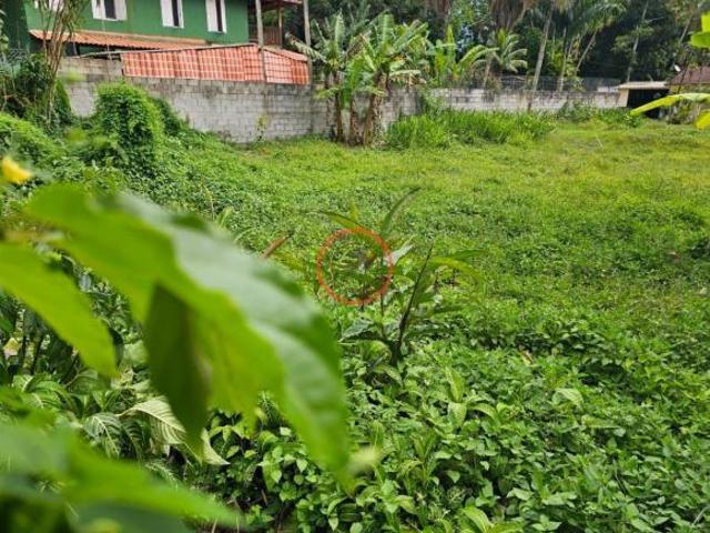 TERRENO PLANO COM ESCRITURA DEFINITIVA DE 600METROS QUADRADO 15X40 EM BOIÇUCANGA EM RUA RESIDENCIAL