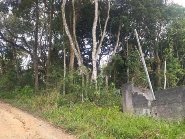 Terreno plano com ótima localização !